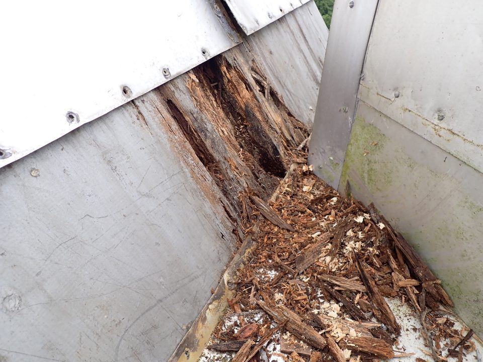 Linlithgow: St Michael's Parish Crown of Thorns spire needs £300k to ...