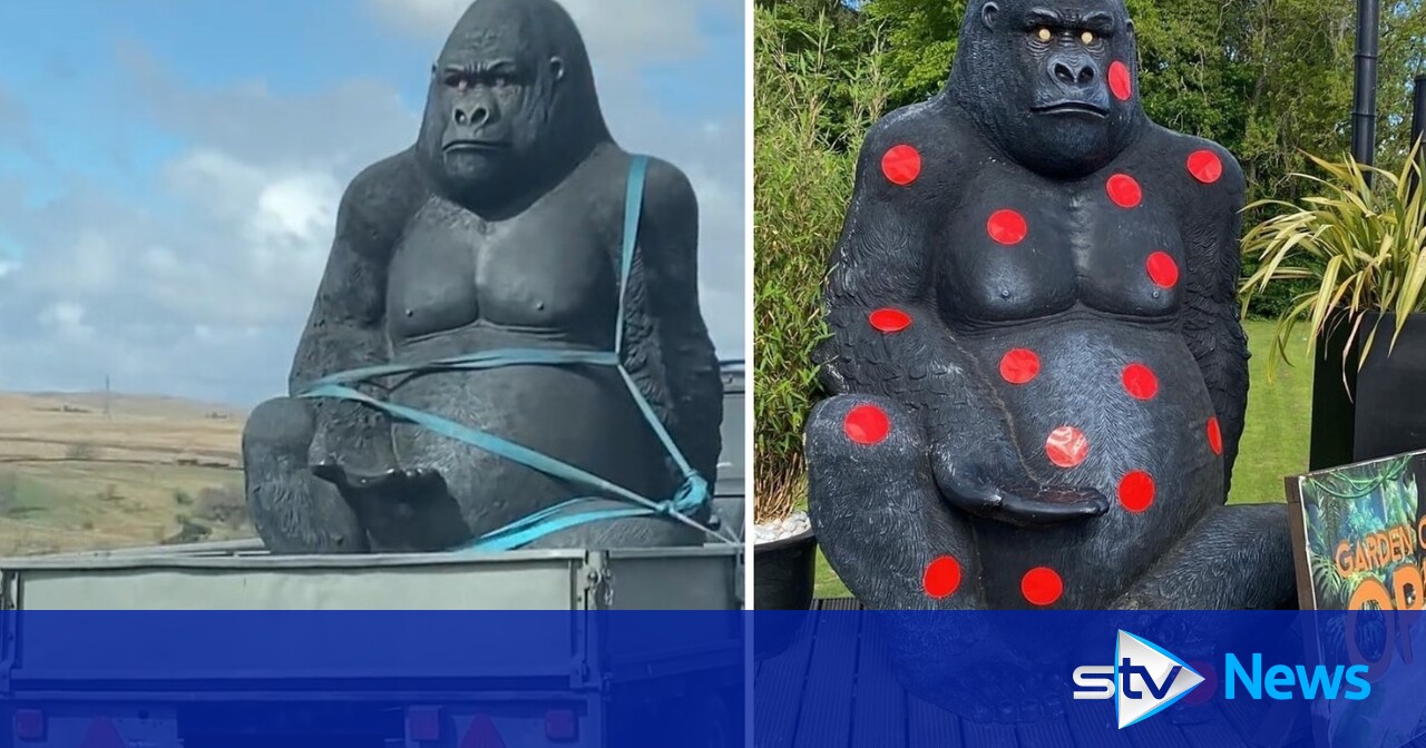Giant ape statue spotted 300 miles away 'not Gary the gorilla' stolen ...