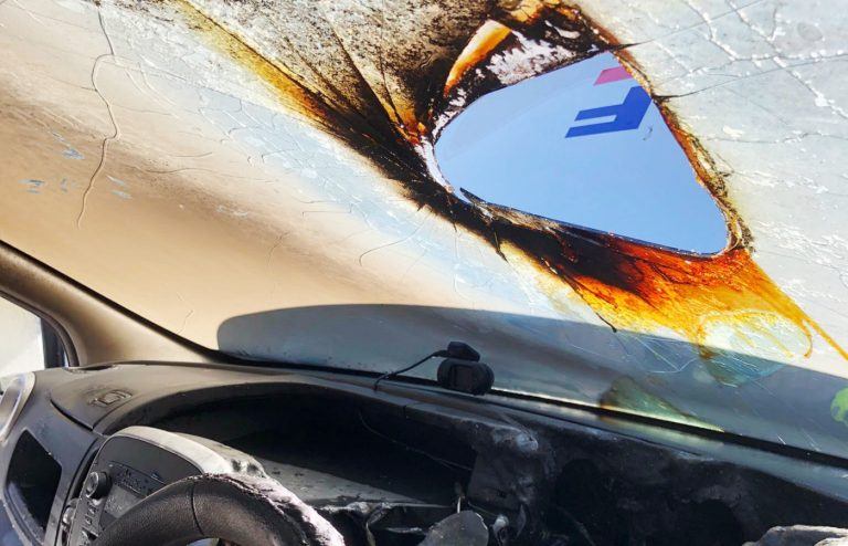 Shocking image shows aftermath after sunglasses on dashboard spark car ...