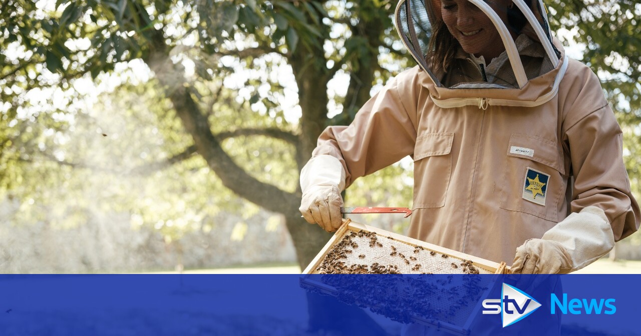 Smiling Princess of Wales gets a buzz out of beekeeping on World Bee ...