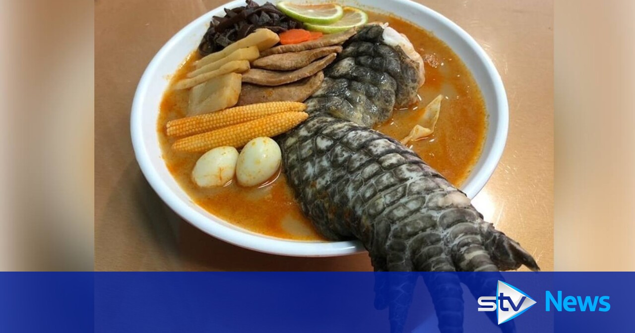 Taiwan restaurant launches 'Godzilla' ramen containing crocodile leg ...