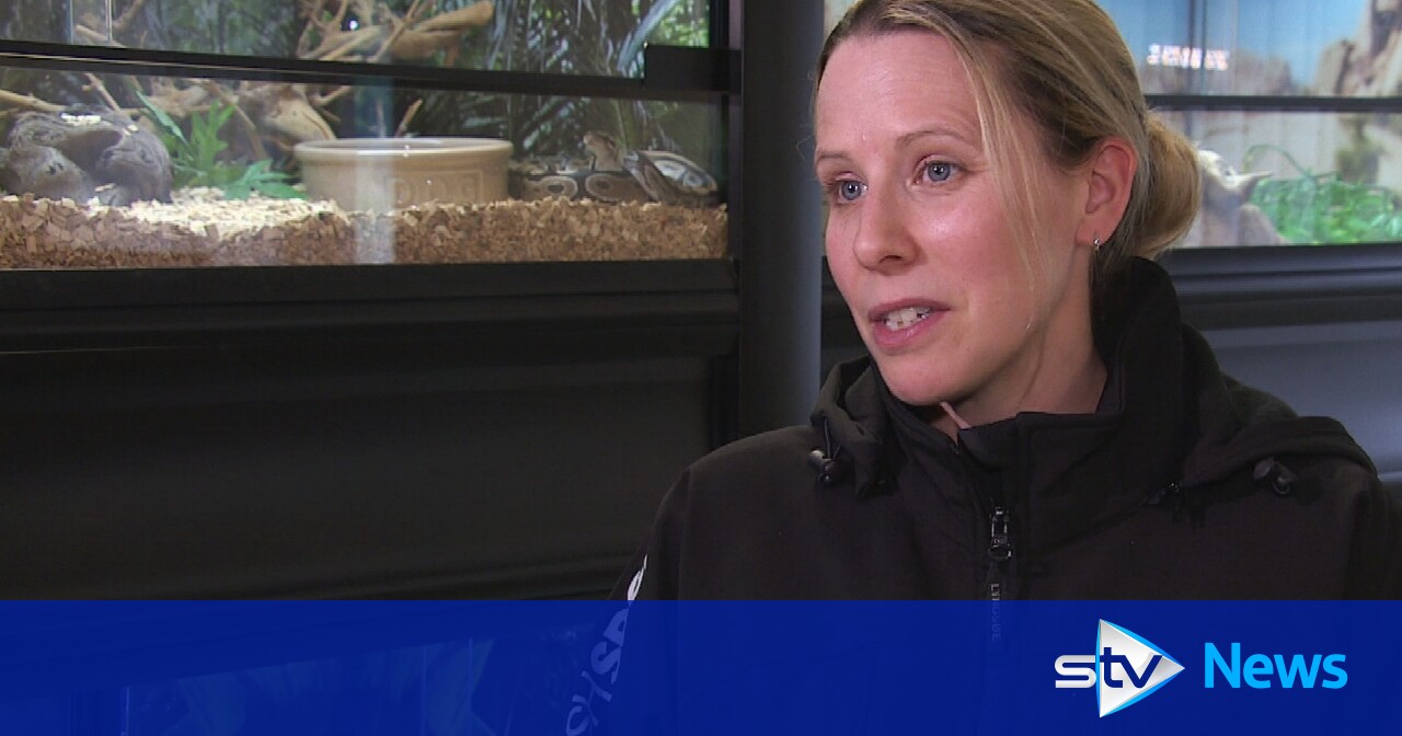 Scotland s SPCA Animal Rescue Charity In crisis Amid Highest ever Running Costs scotland-s-spca-animal-rescue-charity-in-crisis-amid-highest-ever-running-costs