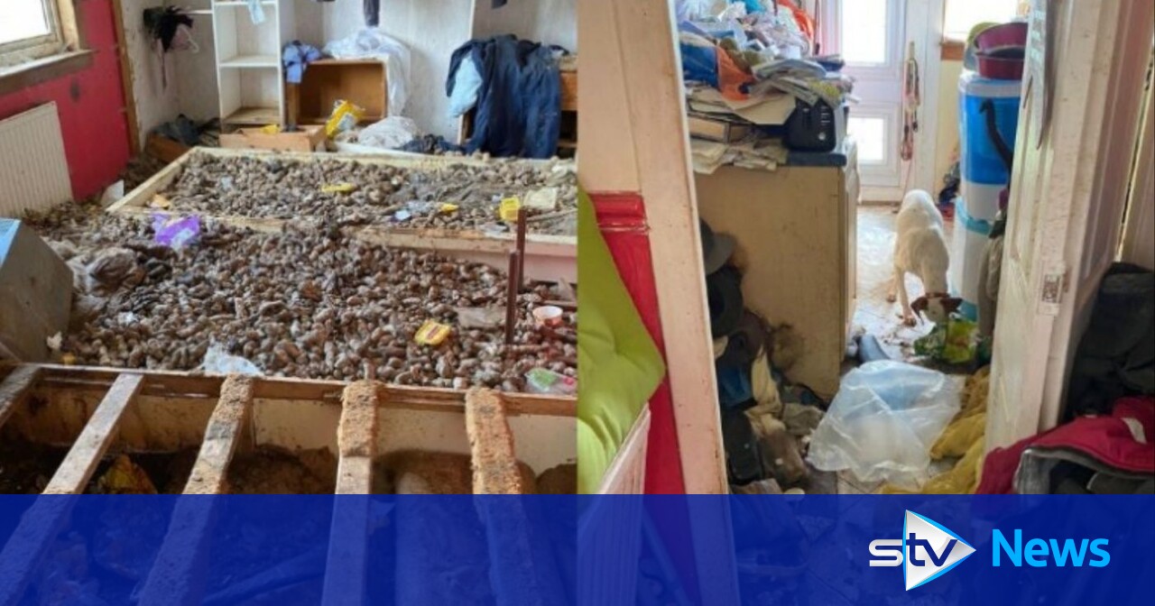 Woman kept cats and dogs in 'grotesque' Kilbirnie home 'overflowing ...