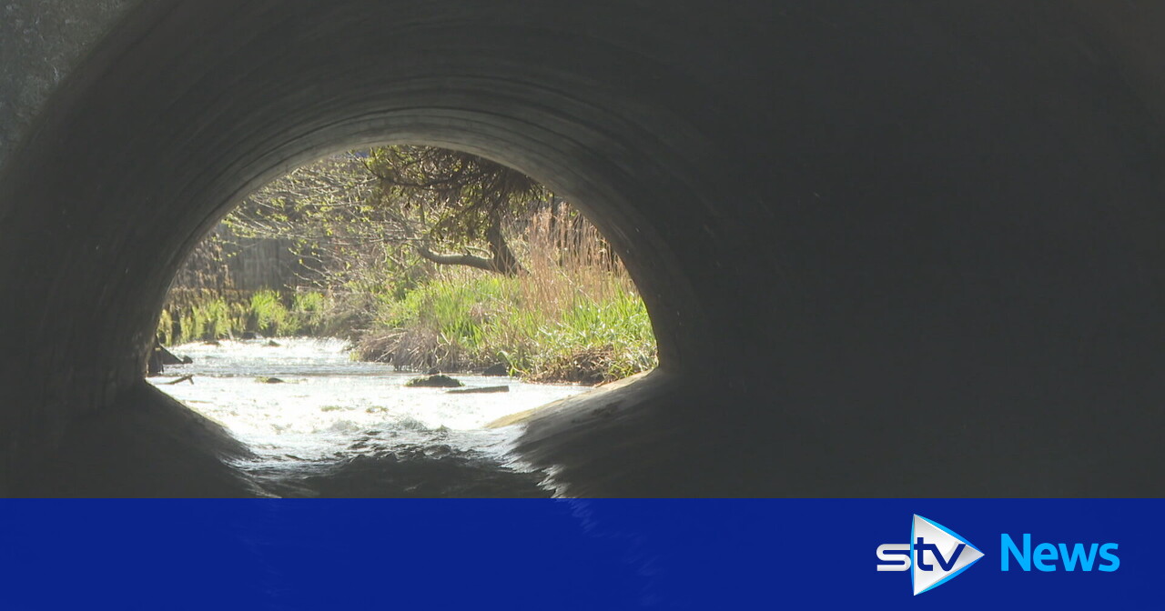 Storm overflows in Scotland must be improved, says environmental ...