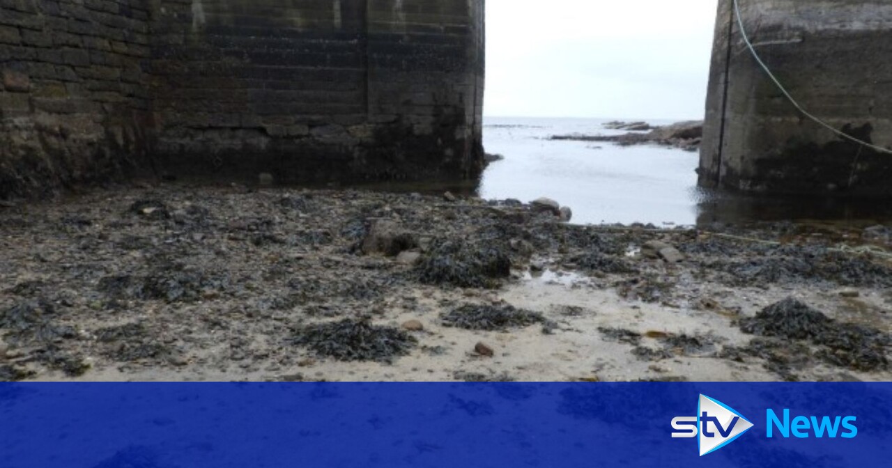 Costs 'spiralling' to deal with Cellardyke harbour's historic seaweed ...