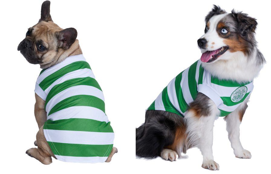 Celtic release set of dog-friendly football shirts | STV News