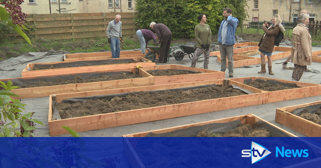 Edinburgh residents form new bonds as part of community garden ...
