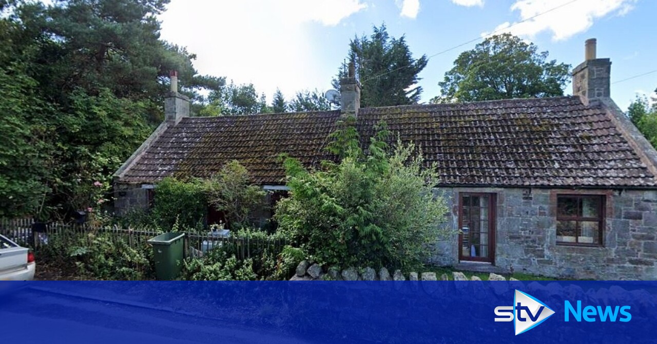 Owner of 15m high 30-year-old hedge loses fight to keep it | STV News