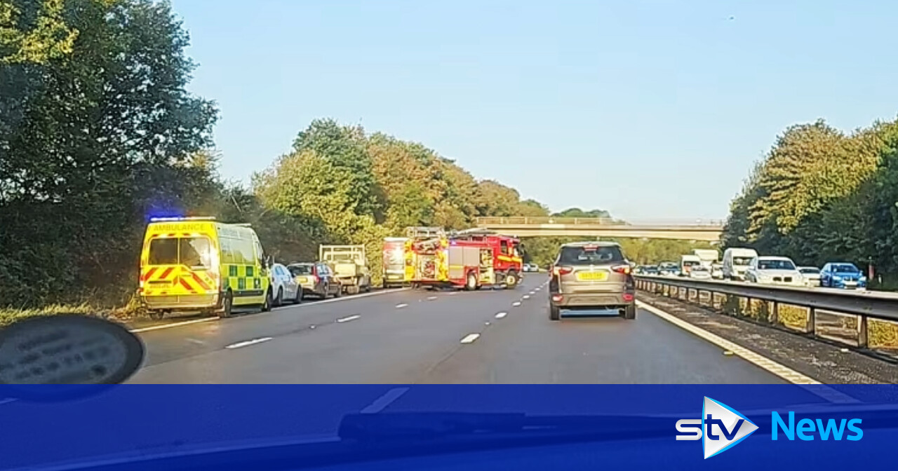 Girl, 14, and school bus driver die following M53 motorway crash in ...
