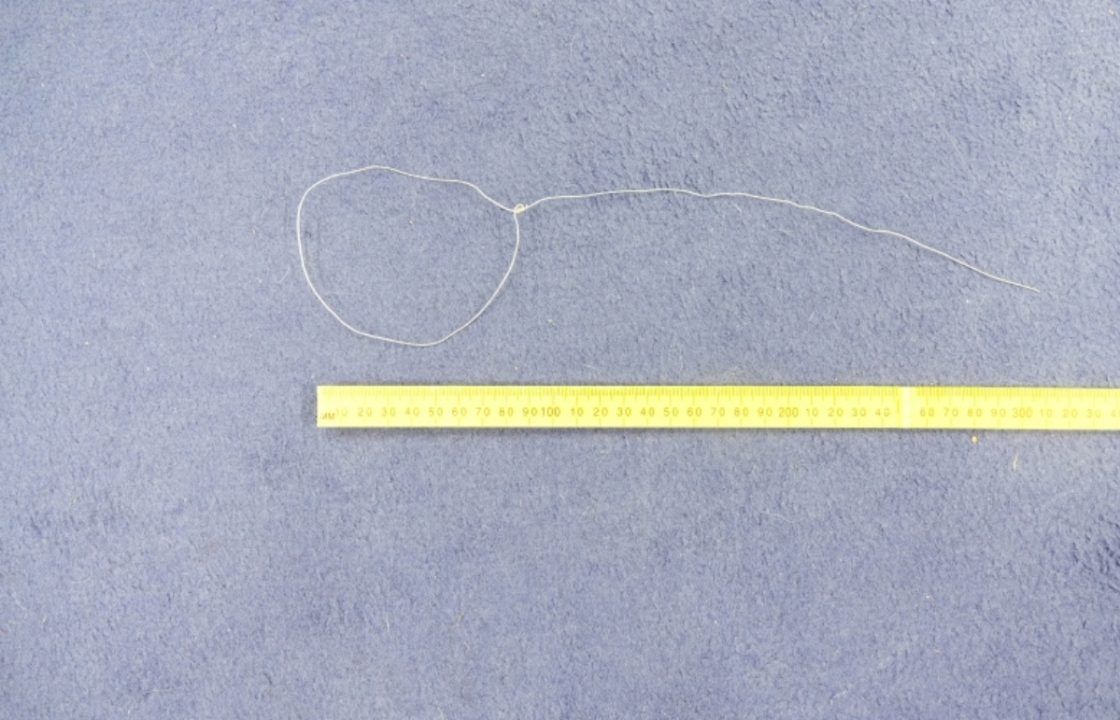 Illegal homemade wire snares found around perimeter of Dundee's ...