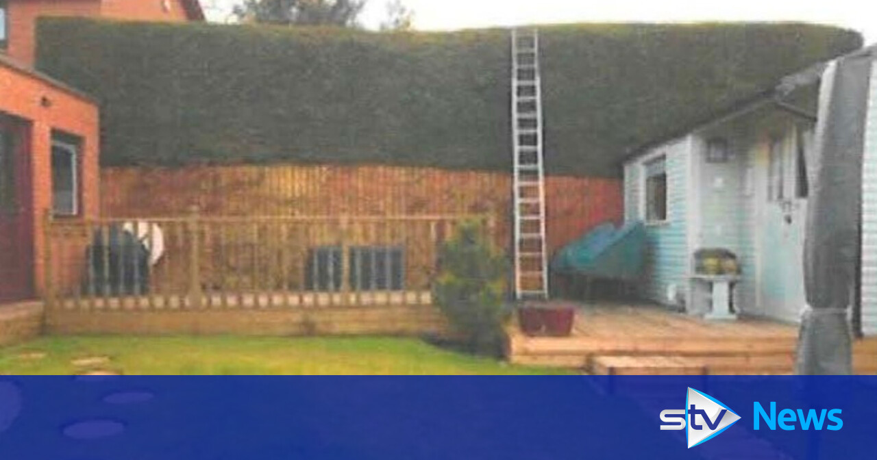 Scottish Government step into high hedge row and order Edinburgh owner ...