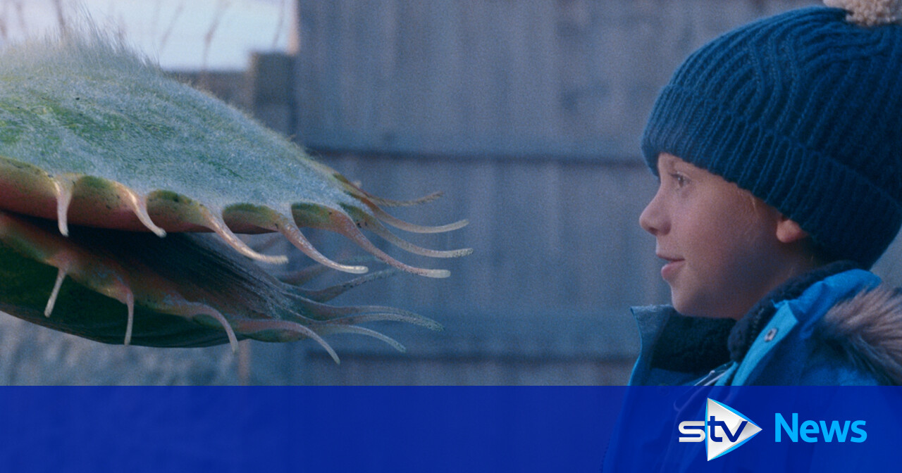 What is the 2023 John Lewis Venus flytrap Christmas advert about and where can I watch it | STV News