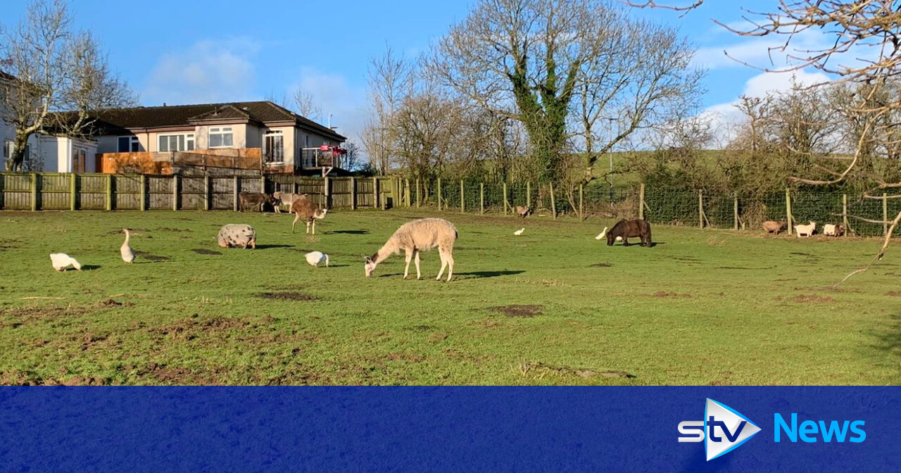 Lamont Farm Project in Renfrewshire facing closure one year after ...