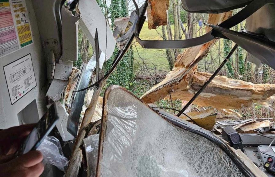 Front of train destroyed following 'shocking' crash with fallen tree ...