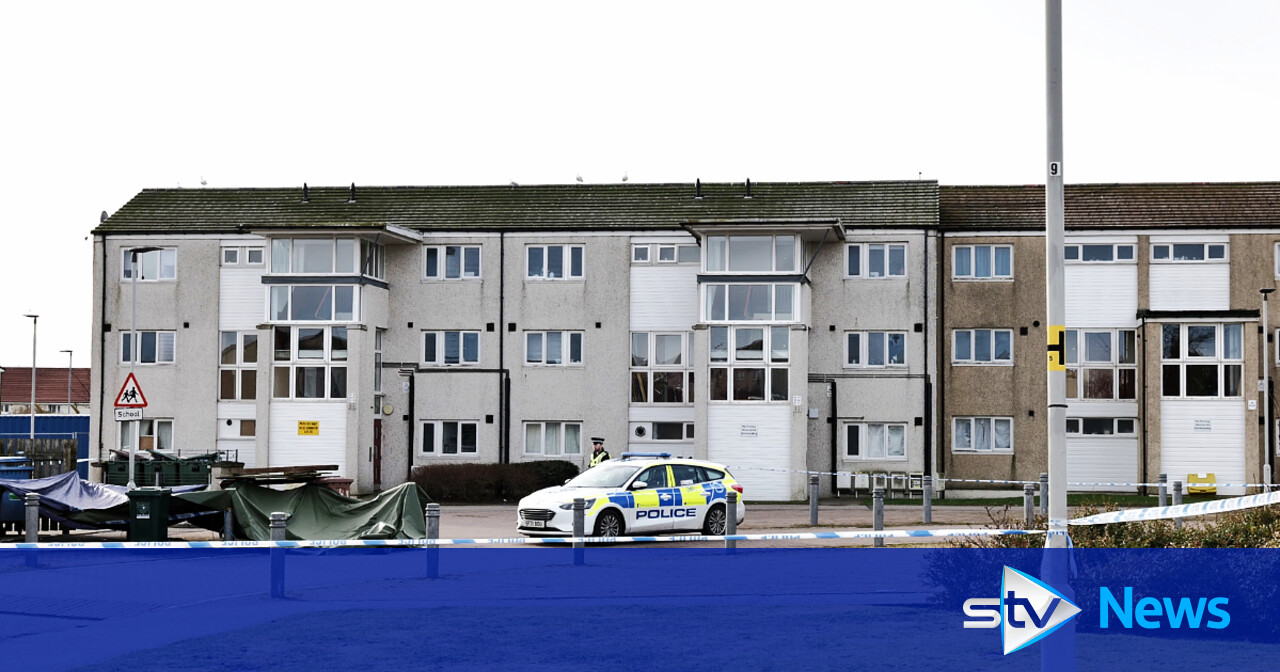 Man and woman in hospital and two arrested after disturbance at home ...