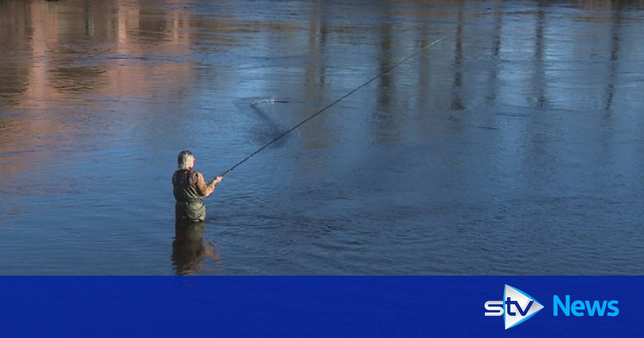 Perthshire anglers launch campaign to save wild Atlantic salmon amid ...