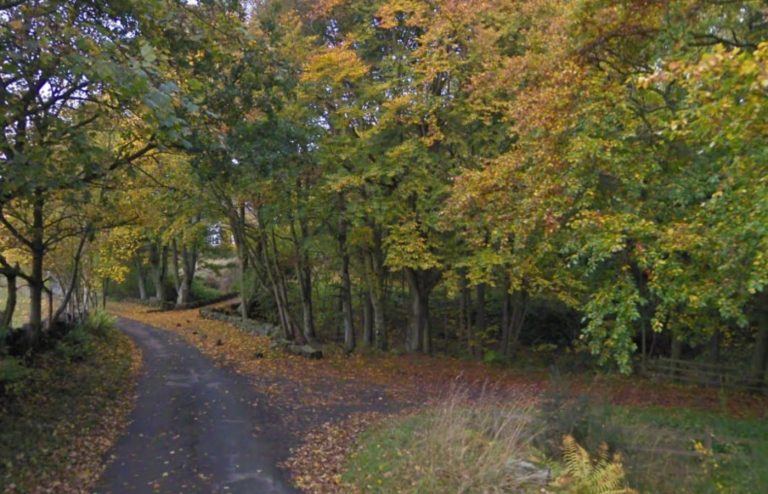 First of its kind 'tiny housing' forest commune approved in Fife | STV News