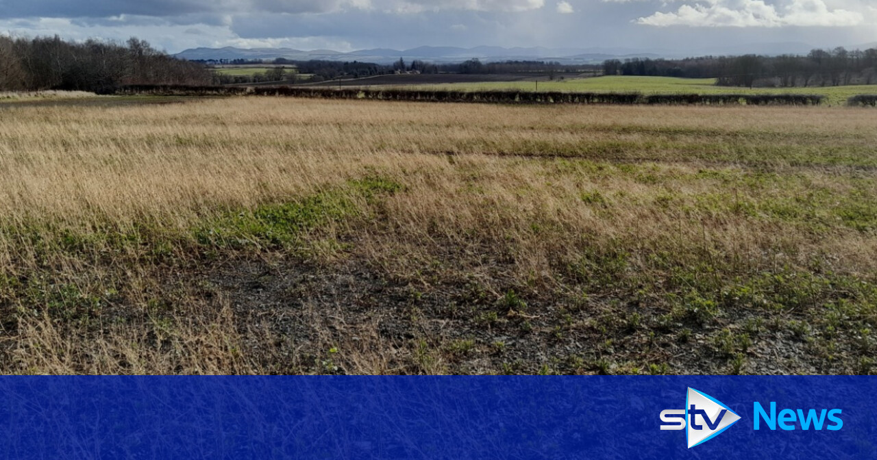 Permission granted for one of largest solar panel farms in Scotland in ...