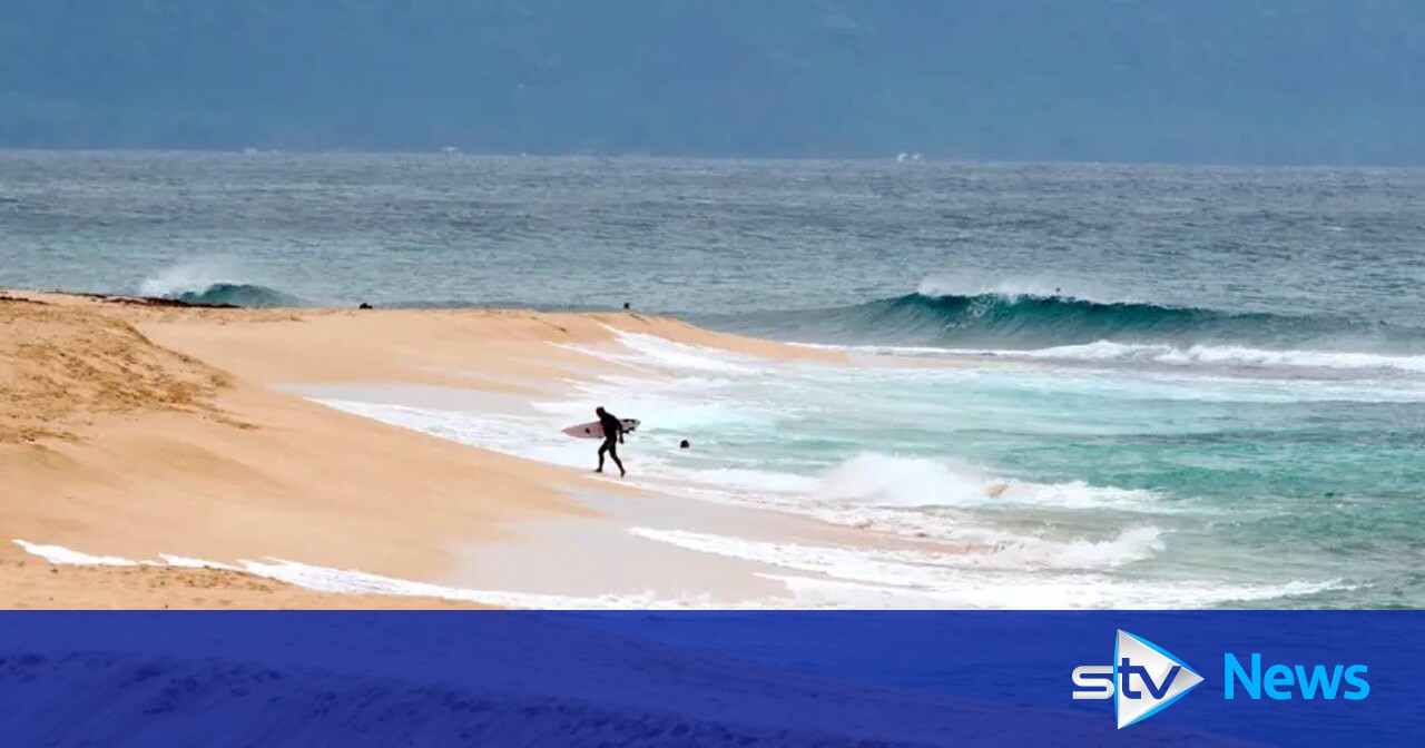 Lifeguard dies in shark attack while surfing in Hawaii | STV News