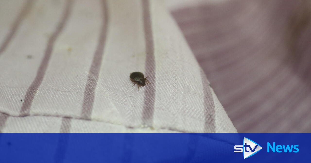Housewife spared jail after bedbug fumigation kills girl who lived next ...