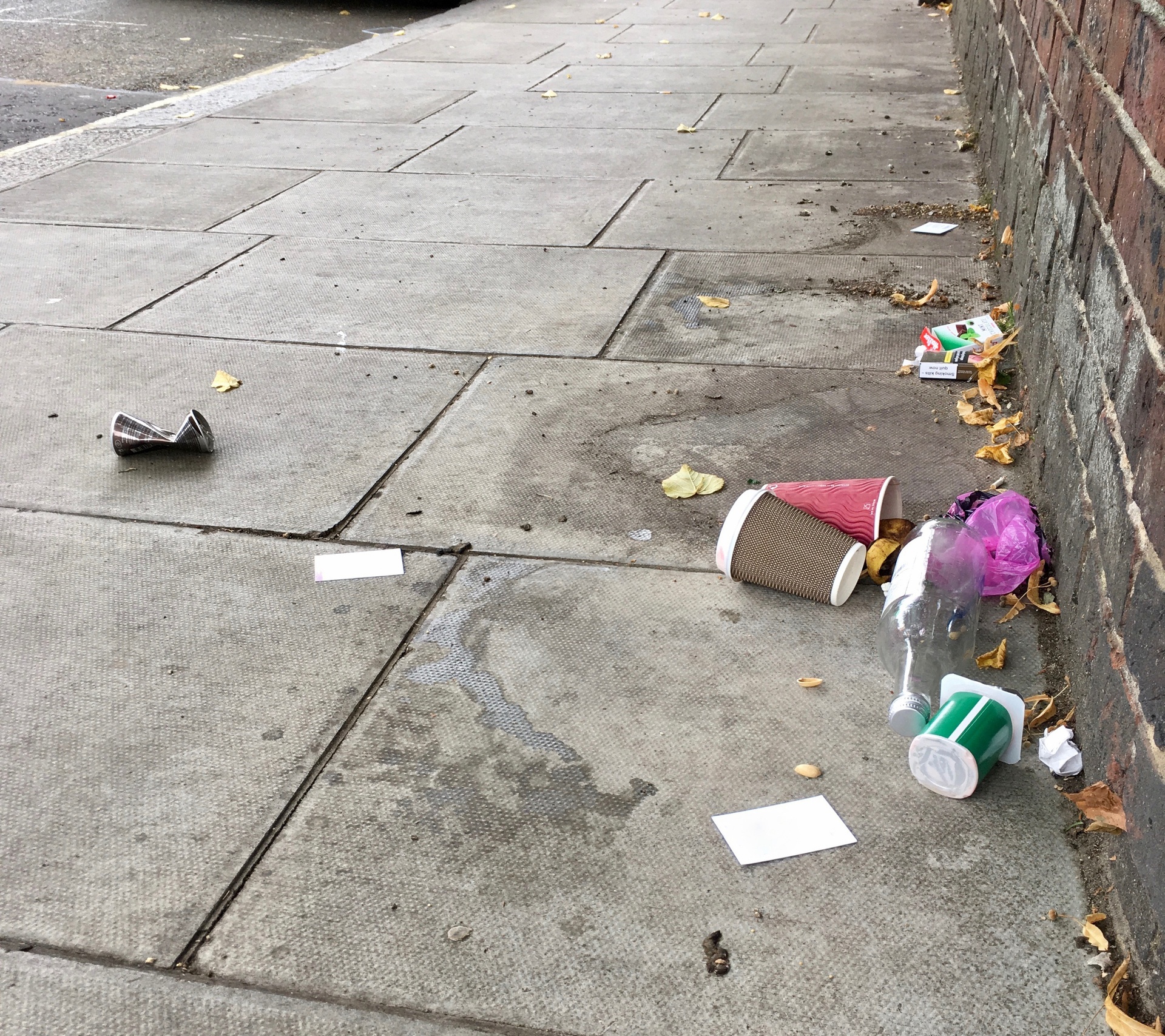 Edinburgh Council issued just one littering fine last year amid 'litter ...