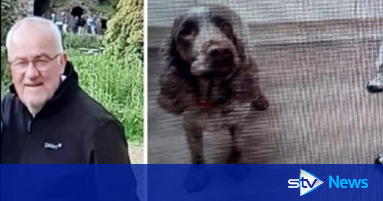 Dog walker reported missing in Edinburgh found safe and well | STV News