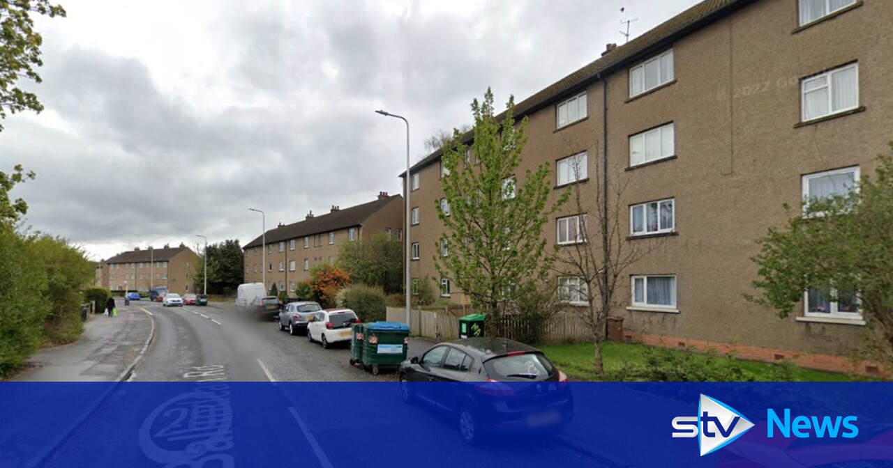 Dead and uncared for dogs discovered at Dundee property after animal ...