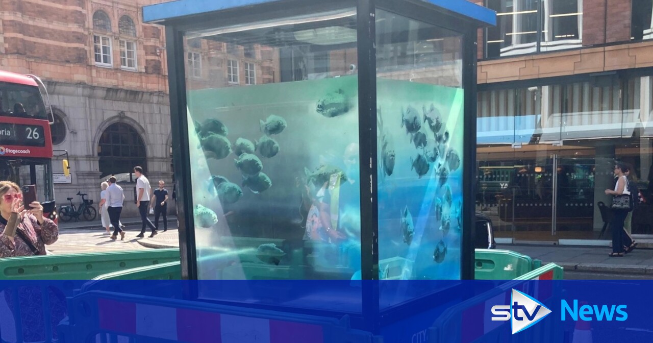 Banksy artwork showing piranhas in a police box moved to keep it safe ...