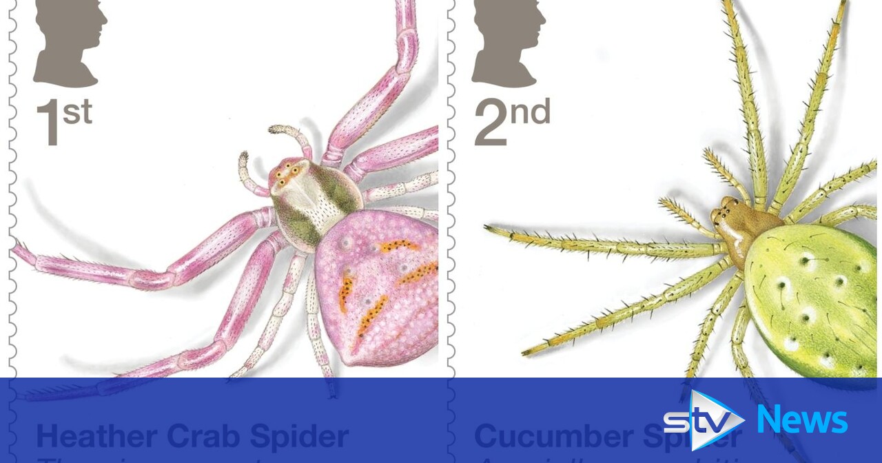 Spiders in the spotlight as Royal Mail unveil set of ten special stamps ...