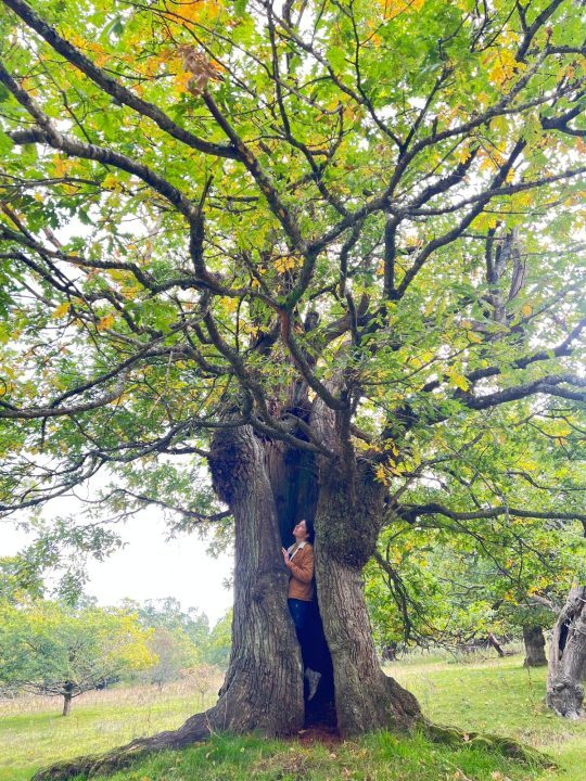 Teacher crowned first-ever winner of Glasgow tree-hugging competition ...
