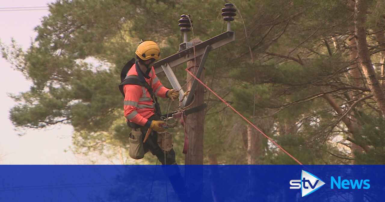 Tree cutting experts in northern parts of Scotland begin preparations ...