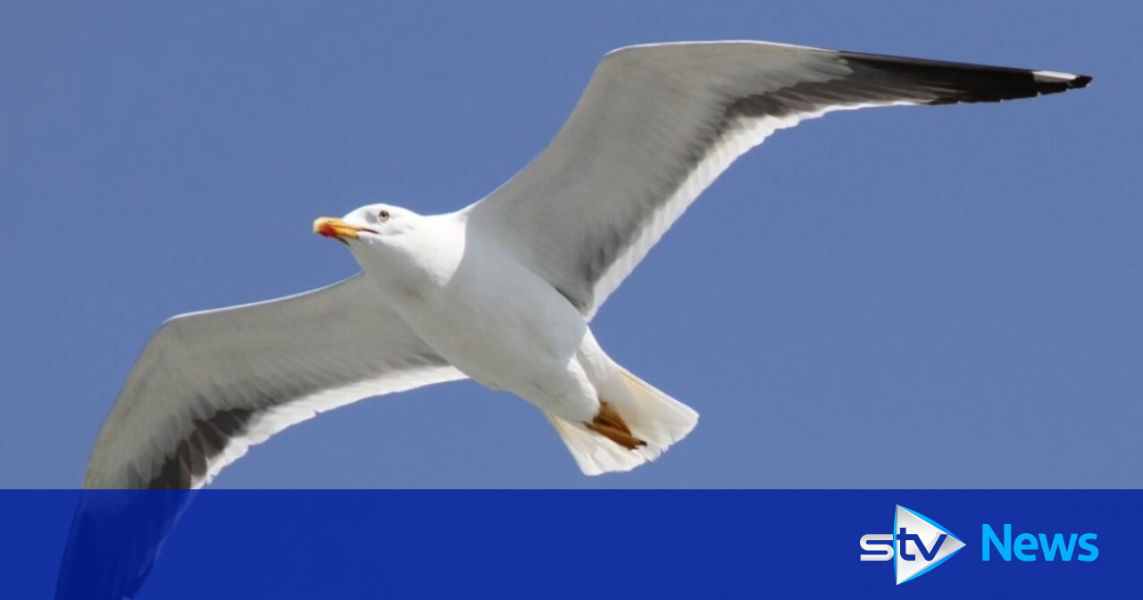 Public and businesses will have to do more to tackle reasons for ...