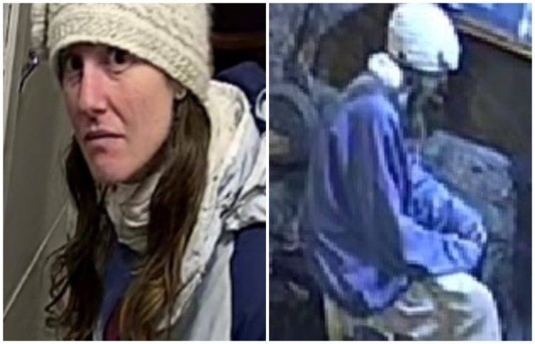 Search continues for missing woman with distinctive tattoos who ...