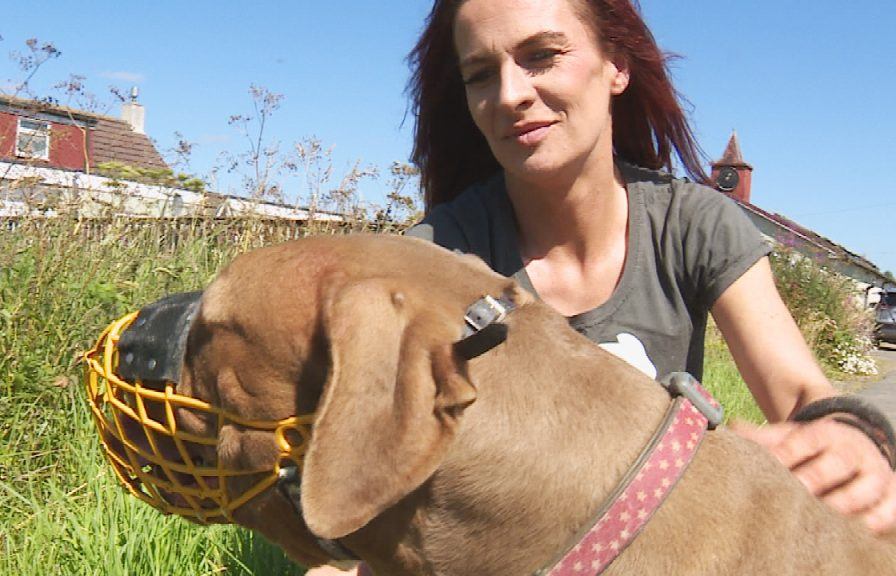 Elgin ice rink at Moray Leisure Centre to reopen following ...