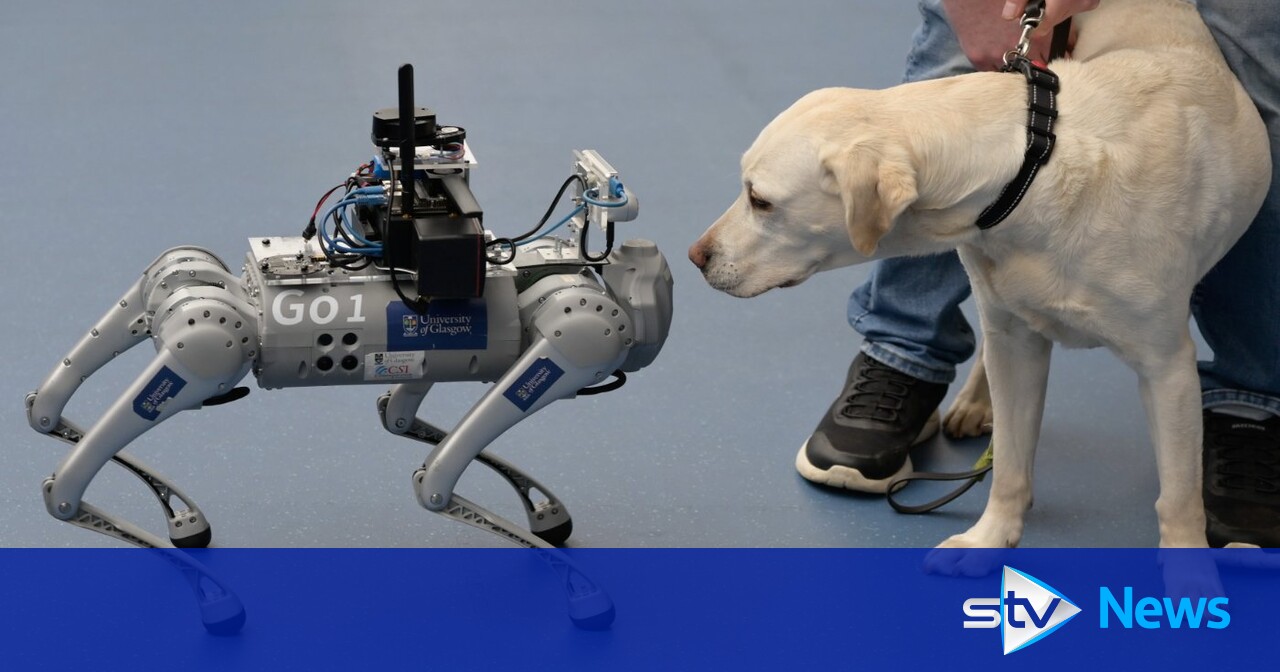 Robot guide dog among AI technology showcased conference for visually ...