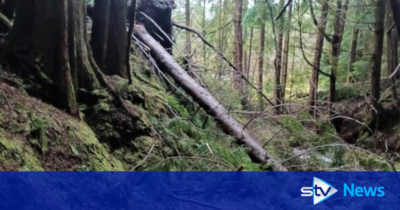 Popular walking trail Puck's Glen facing long-term closure due to Storm ...