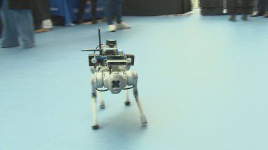 Robot guide dog among AI technology showcased conference for visually ...
