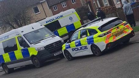 Two dogs including XL Bully put down after man attacked in early hours ...