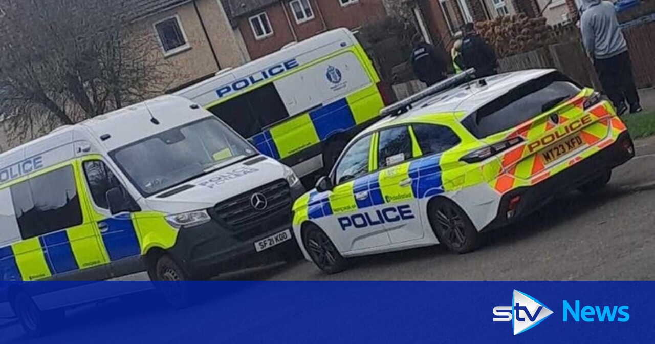 Two dogs including XL Bully put down after man attacked in early hours ...