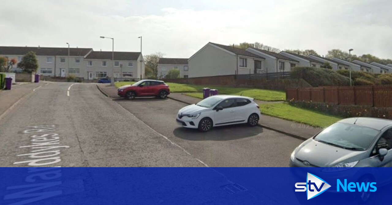 Dog walkers' purse stolen by teenagers on electric scooters | STV News