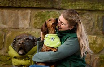 Edinburgh Dog and Cat Home jobs lost and opening hours cut amid rising ...