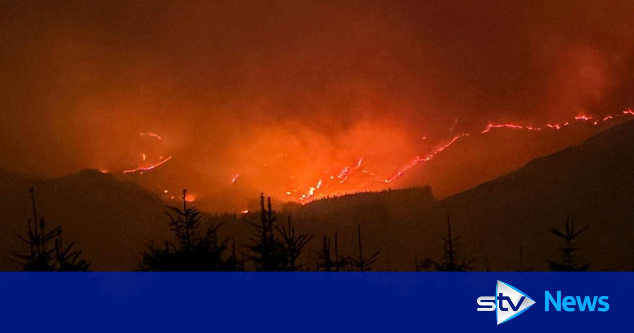 Wildfire 'under control' as firefighters remain at scene of forest ...