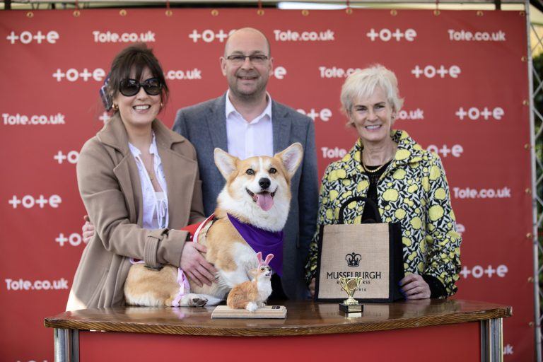 Pups set to battle it out to be crowned top dog at Corgi Derby at ...