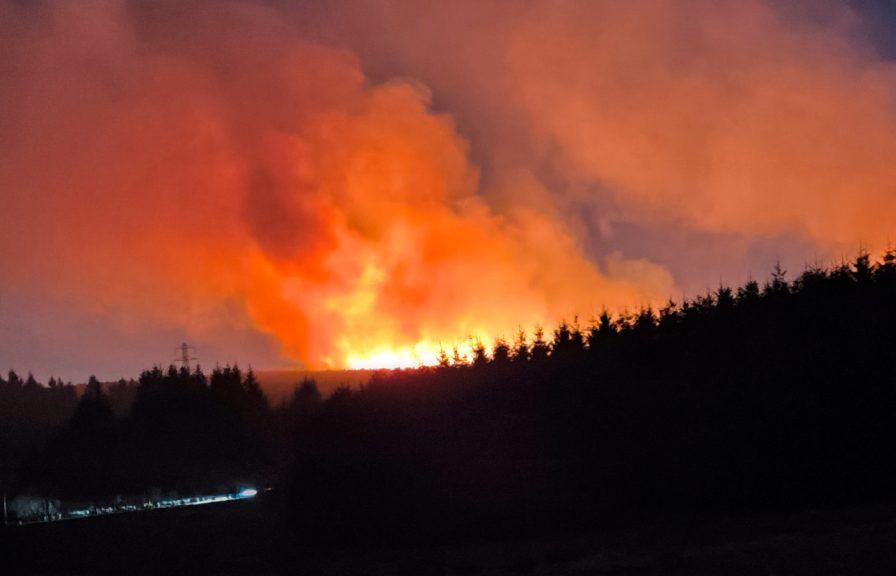 Kennel owners drive through flames to evacuate 25 dogs and ten cats as ...