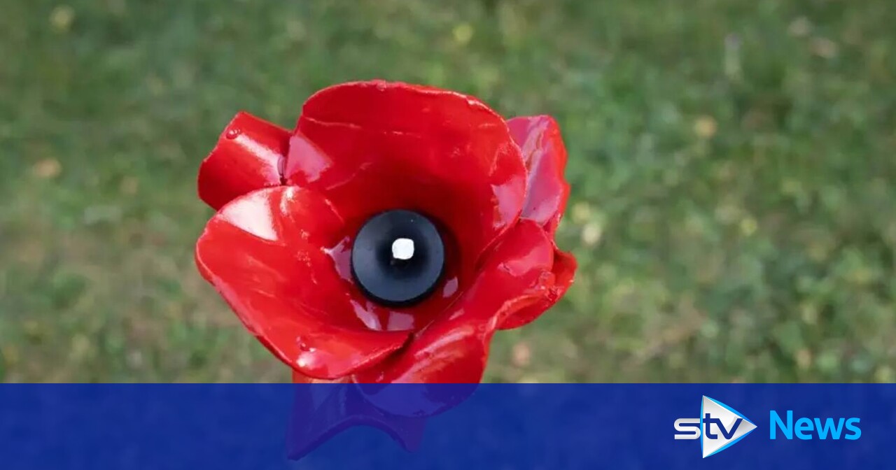 Veterans and families to attend VE Day 80th anniversary commemorations ...