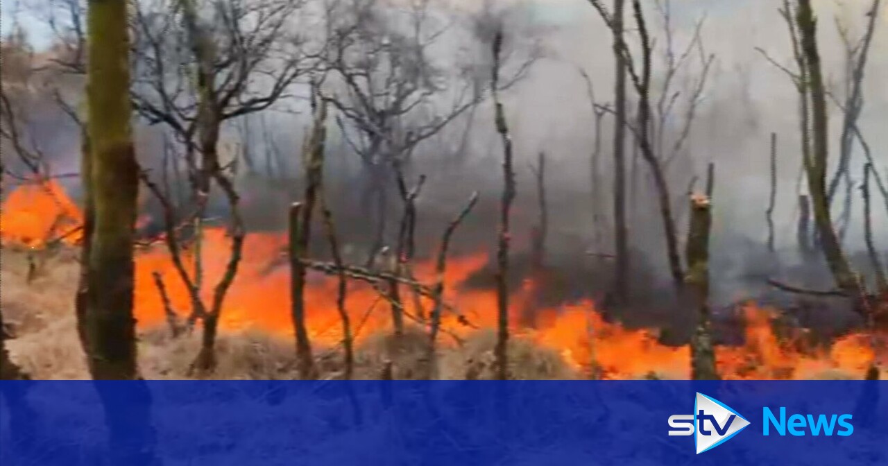 Damage from Isle of Bute community forest wildfire 'hard to estimate ...