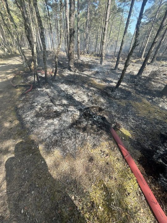 Pictures show damage from Culbin Forest wildfire as crews battle blaze ...