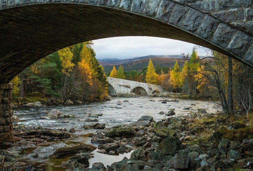 Midge alert: Surge in number of tiny biting insects after warm spell ...