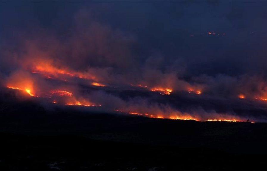 Man charged after woman dies following disturbance in Edinburgh | STV News