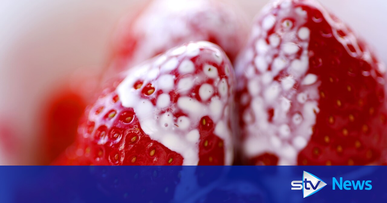 M&S launches dessert sandwich filled with strawberries and cream | STV News